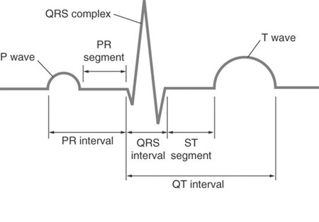 Medicine Decoded: Basic ECG waveform & ECG vitals